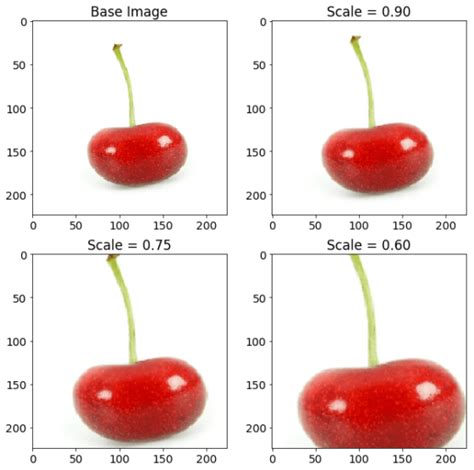 Top Data Augmentation Techniques Ultimate Guide For 2023