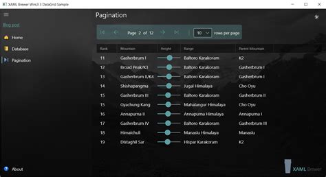 Pagination 1 Xaml Brewer By Diederik Krols