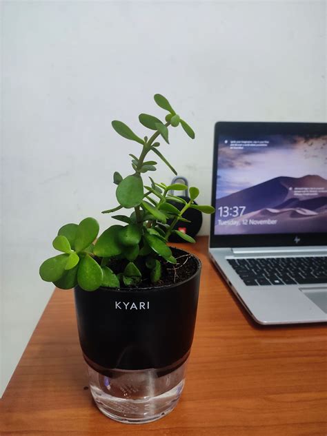 siddharth k on linkedin gratitude upgradbuddy datascience