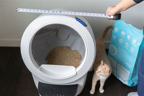 Litter Robot 4 Review Cat Testing A 700 Litter Box Your Best Digs