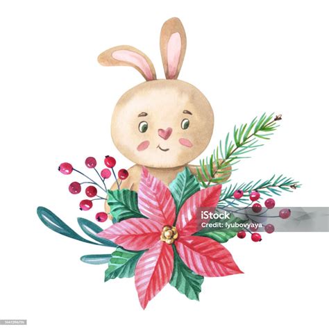 빨간색 포인세티아 꽃 나뭇잎 열매 소나무 가문비나무 흰색 바탕에 녹색 나뭇가지가 있는 겨울 토끼 크리스마스 그림입니다 새해 인사말 카드입니다 아이들을위한 수채화 빨강에 대한
