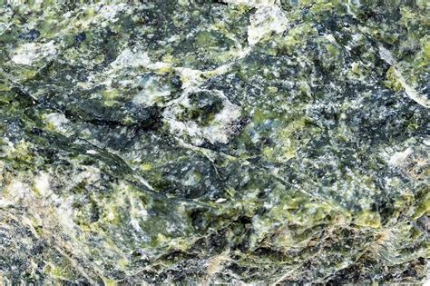 Newly Discovered Microbe Turns Carbon Into Energy And Sheds Light On