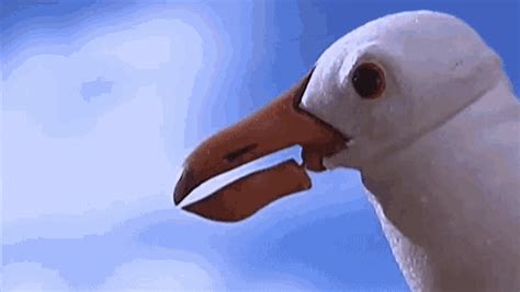 Spongebob Spongebob Meme  Spongebob Spongebob Meme Meme  Ek