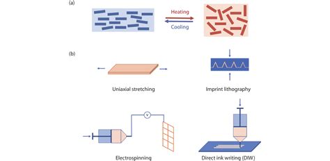 Liquid Crystal Elastomers For Soft Actuators