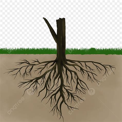 Roots Of Plants Clipart