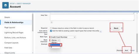 Salesforce Encrypted Field