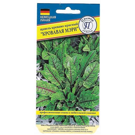 Щавель Кровавая Мери семена купить в питомнике Дирижер Сада