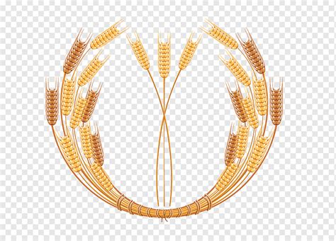 작물 밀 황금 밀 테두리 골든 프레임 수확 테두리 프레임 Png Pngwing