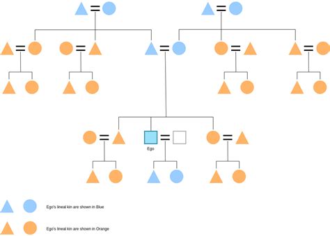 Kinship Diagram Templates
