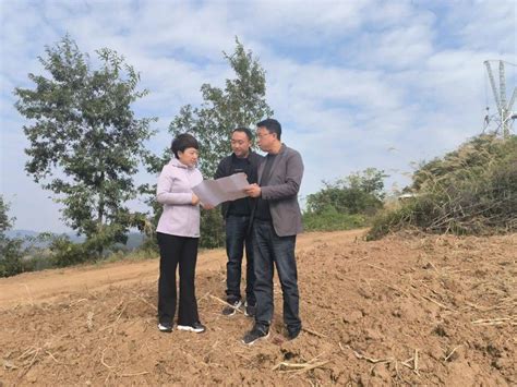 县委副书记、县长杨满红到大南峪镇督查指导耕地保护、生态及地质灾害避险搬迁等当前重点工作整治