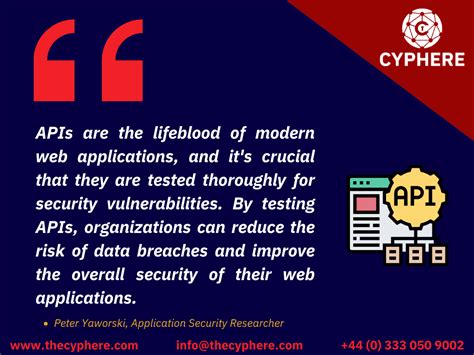 Api Security Testing Tools Cyphere