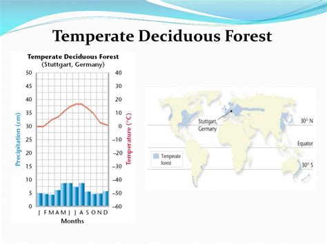 Temperate Deciduous Forest Biome Climate