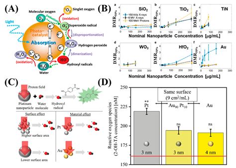 Recent Advances In Metal Based Nanoenhancers For Particle Therapy