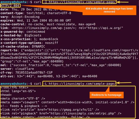 The Curl Command In Linux Practical Examples Linuxsimply