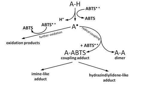 Principle Of Abts Assay At Jennifer Carranza Blog