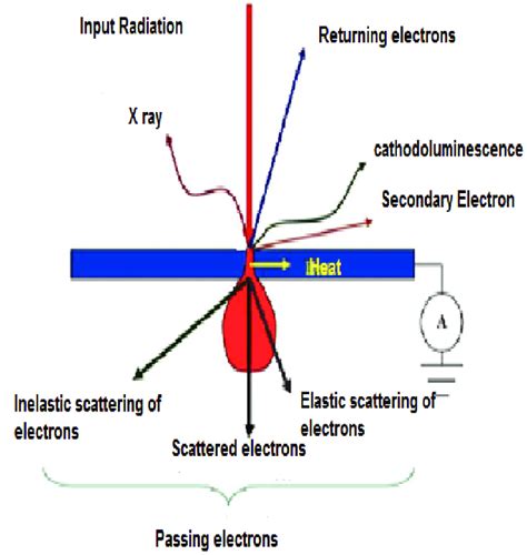 Interaction Of Electron Beam And The Sample Kaeedi Bakhtiyari Download Scientific Diagram