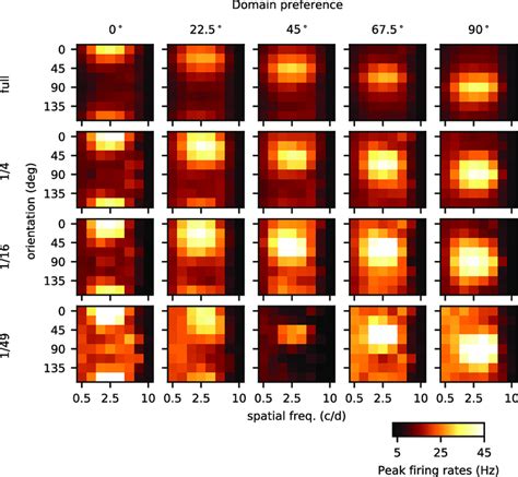 Orientation And Spatial Frequency Tuning For Four Model Cortices This