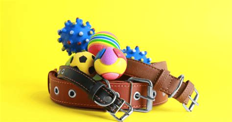 The Most Commonly Used Household Objects People Use Sexually Dailynews Journal