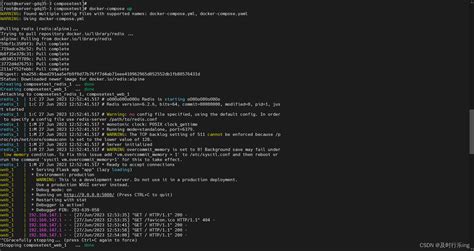 Docker部署python运维脚本python 脚本部署 Csdn博客