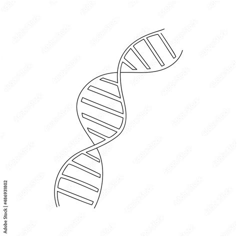 Genetics Drawing At William Biscoe Blog