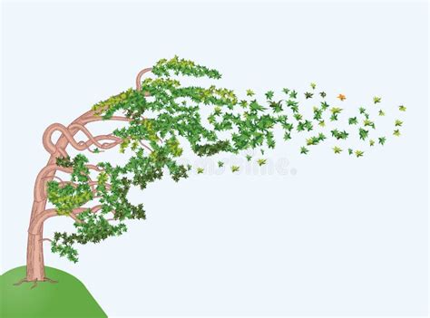Tree Bent Under Wind 1 Stock Vector Illustration Of Natural 302537543
