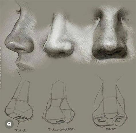 Pin By SNY On Resim Face Proportions Drawing Nose Drawing Male Noses Drawing