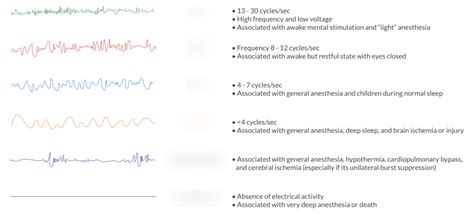 EEG Waveforms Diagram Quizlet EEG Waveforms Diagram Quizlet