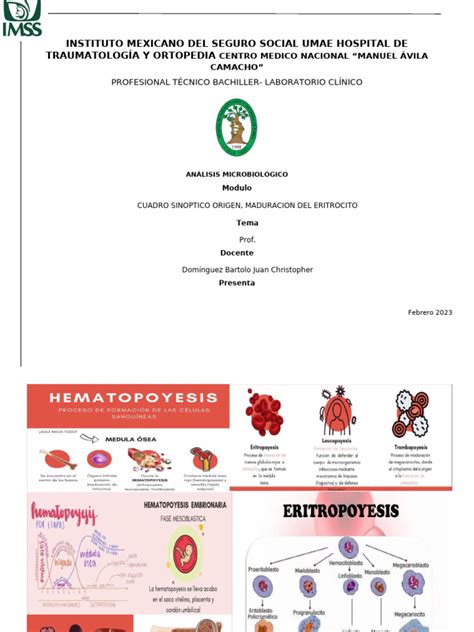 Origen Y Madurcion Eritrocito Pdf