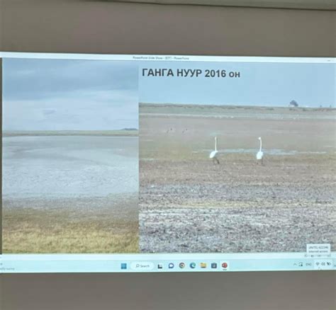 Ганга нуур сэргэж усны түвшин 18 жилийн өмнөх хэмжээнд хүрчээ