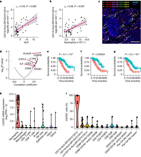 Oncolytic Virus Therapy Can 3110 Shows Promise In Treating Aggressive Brain Cancer Glioblastoma