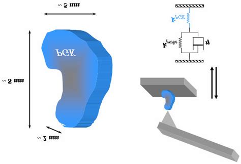 Schematic Of The Adaptive Spring Constant Issue In The Expected Download Scientific Diagram
