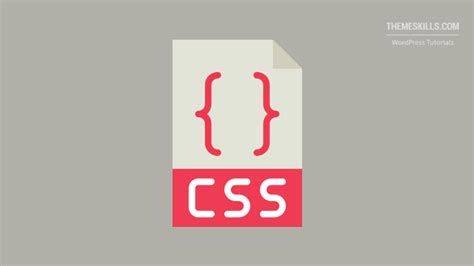 How To Add Custom Css To Your Wordpress Admin Area Themeskills
