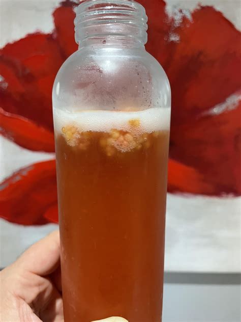 Apple Raspberry Kombucha 4day F2 Rkombucha