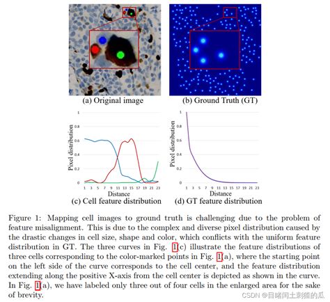 基于多尺度超图的特征对齐网络 细胞定位 知乎