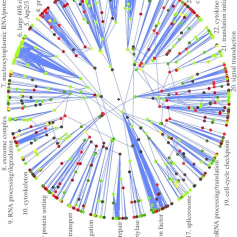 the d star algorithm download scientific diagram
