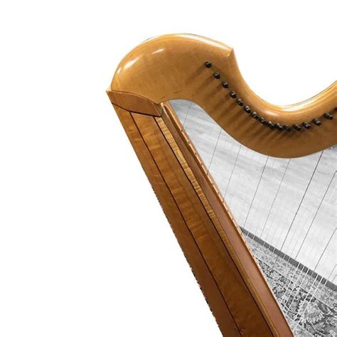 Used 2000 Thormahlen Swan 36 String Lever Harp — Vermont Violins