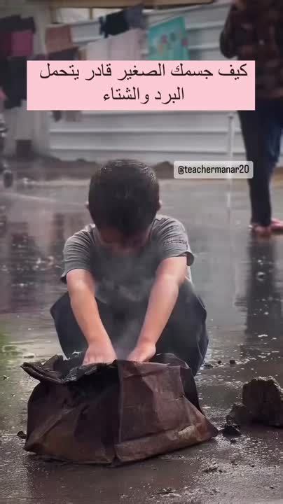 [video] hasnaa fathy hassan on linkedin good morning to all humans of the world did you