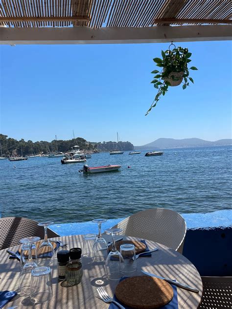 Lescale Toulon Restaurant Avis Numéro De Téléphone And Photos