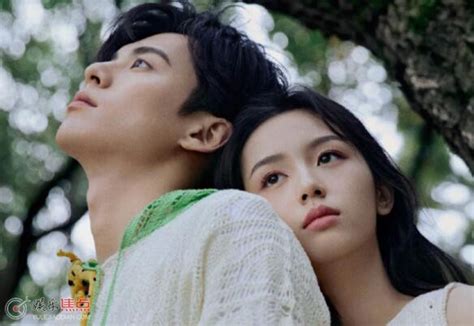 王鹤棣和周也的关系怎么样 是合作伙伴也是朋友娱乐焦点网