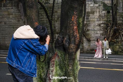 给 Typecho 博客添加文章页相册功能 立云图志