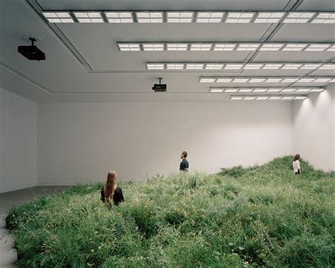 over 10 000 plants used to create grassland inside australian pavilion