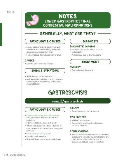 Omphalocele Video Causes And Meaning Osmosis
