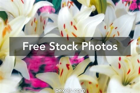 Decoration For Outdoor Wadding Photos Download The Best Free Decoration For Outdoor Wadding