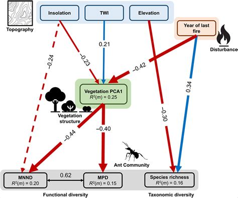 Special Feature Active Remote Sensing For Ecology And Ecosystem Conservation Journal Of
