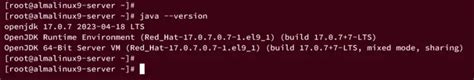 How To Install Java Openjdkoraclejdk On Almalinux 9