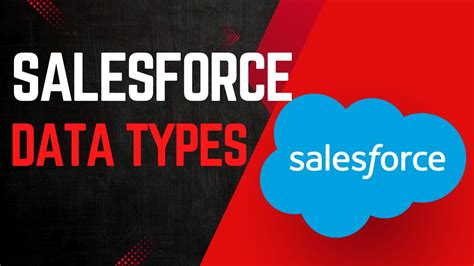 Salesforce Data Types SalesForce FAQs