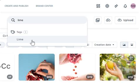 Navigating The Dam Asset Manager Lytho Support