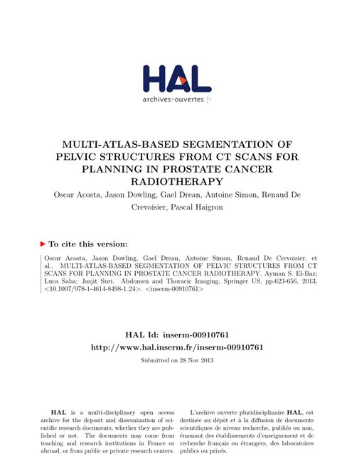 Pdf Multi Atlas Based Segmentation Of Pelvic Structures From Ct Scans For Planning In Prostate