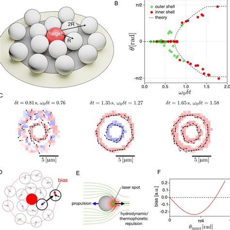 Collective Rotation Of 15 Particles Attracted To A Single Target