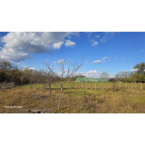 User Manual Tcl 43c655 English 98 Pages